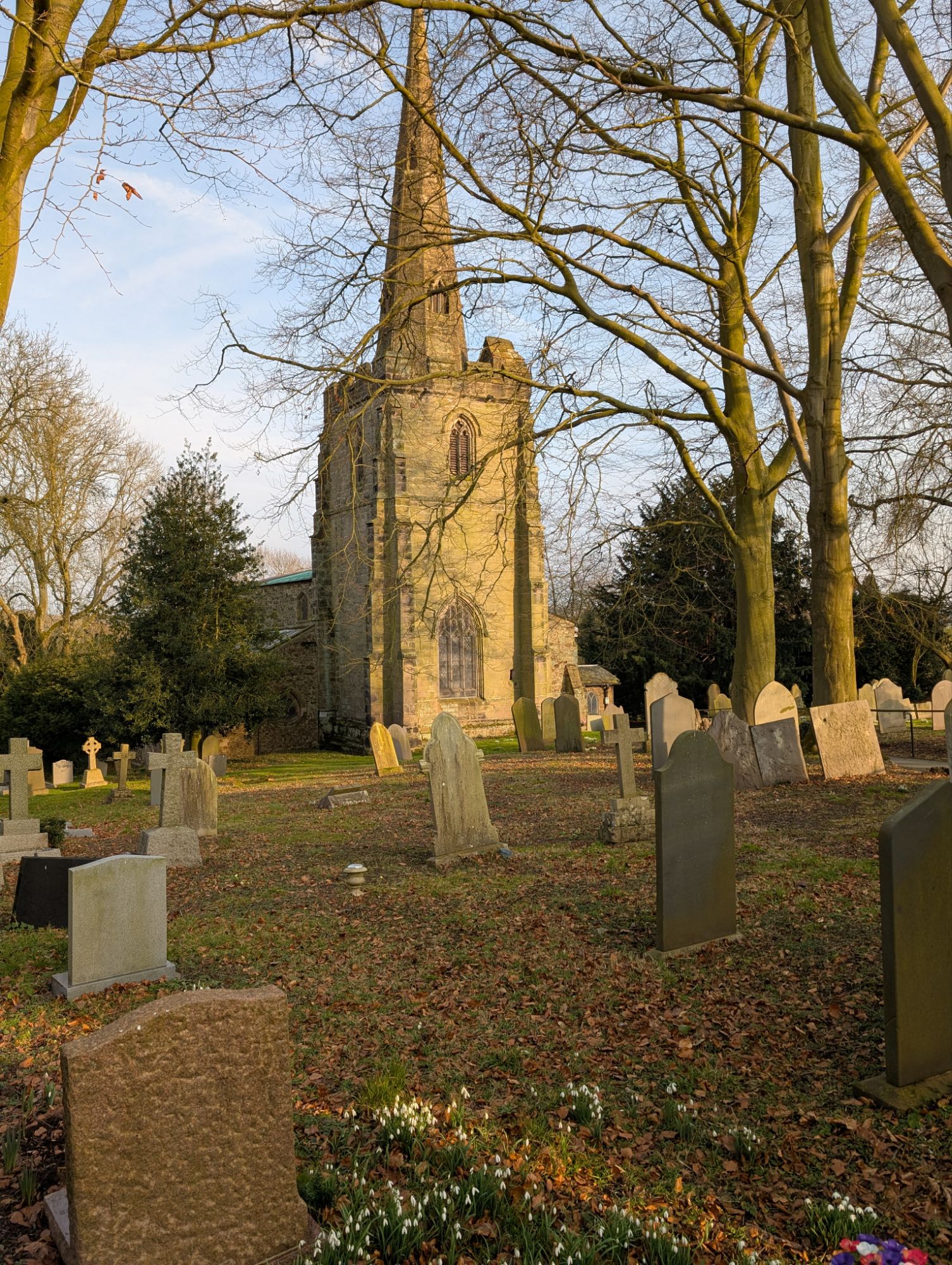 MIDSUMMER FOOD FESTIVAL – Thornton